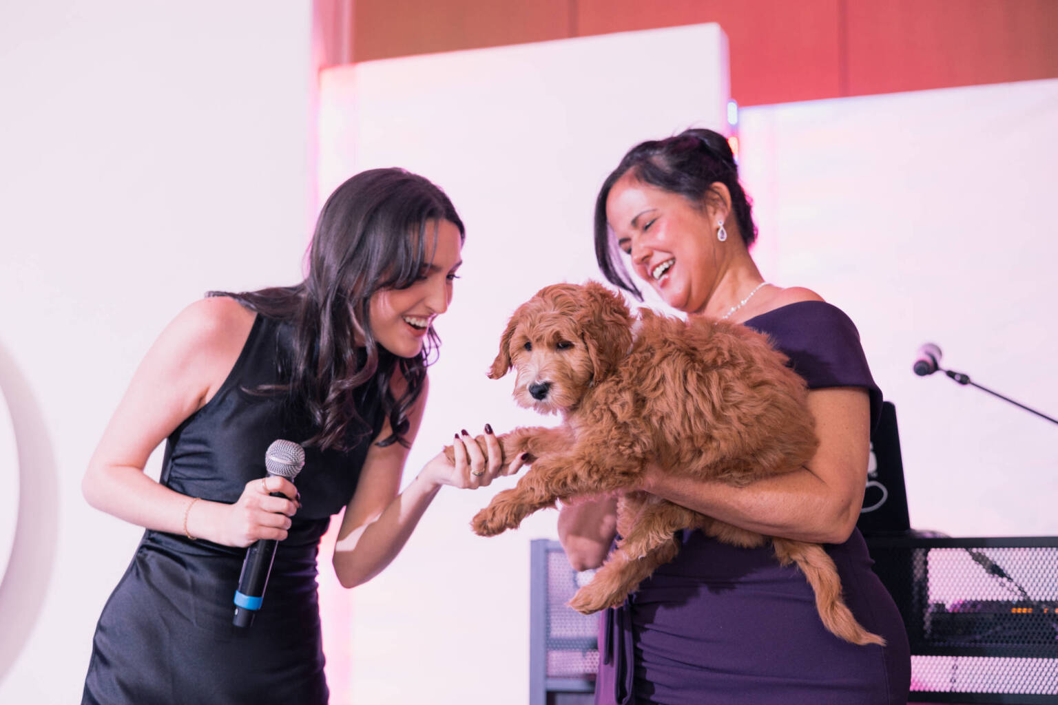 50th Anniversary - Young Actors Theatre